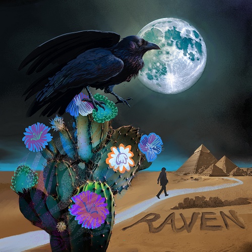 Philosopher Pirate 'Raven' Directed By Courtney Collins (NLK Studio ...